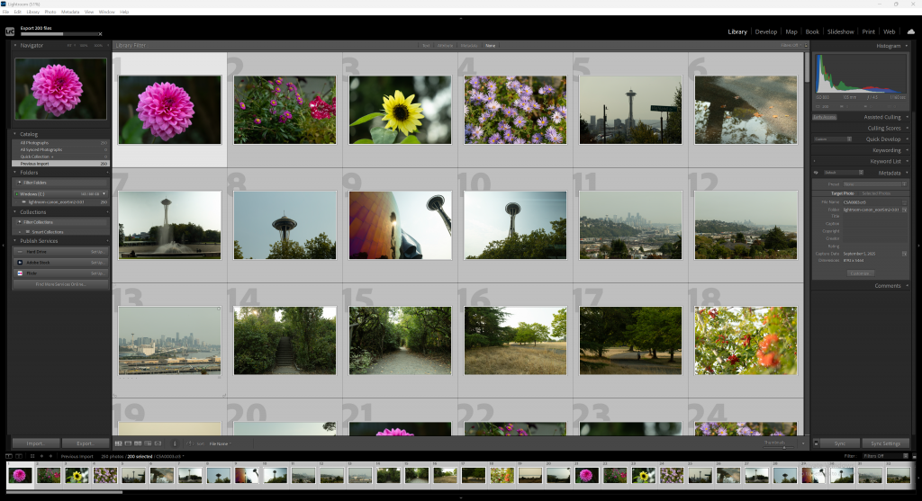 Lightroom Classic v15 Exporting & Preview Performance Bug | Puget Systems
